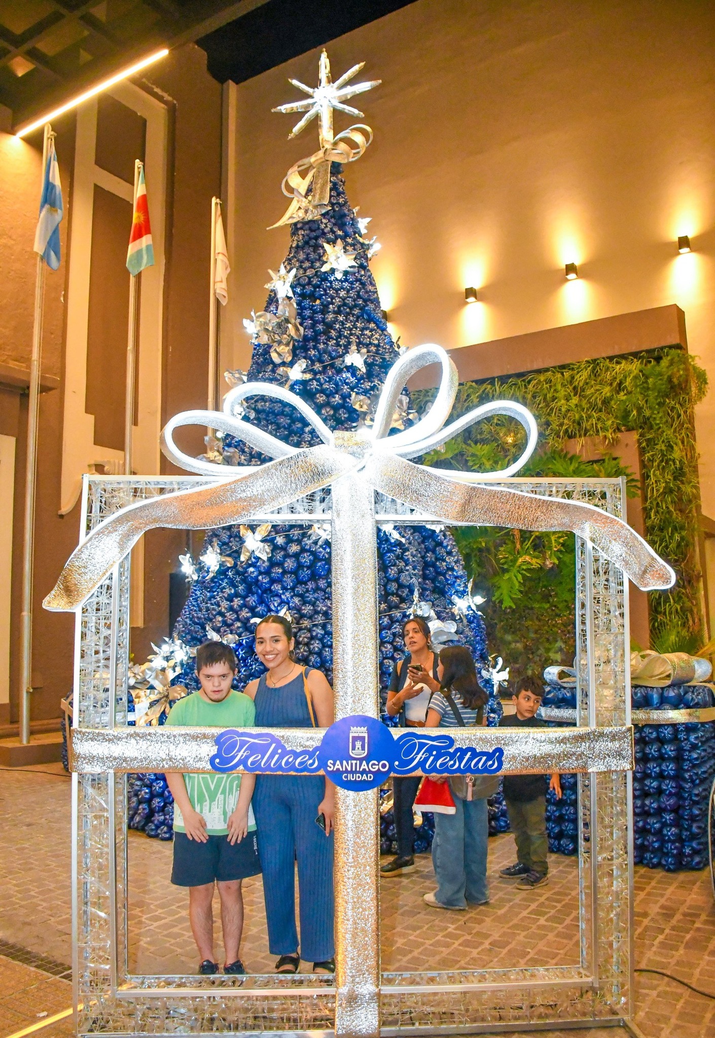 El Árbol de Navidad ecológico capta todas las miradas – La Brujula