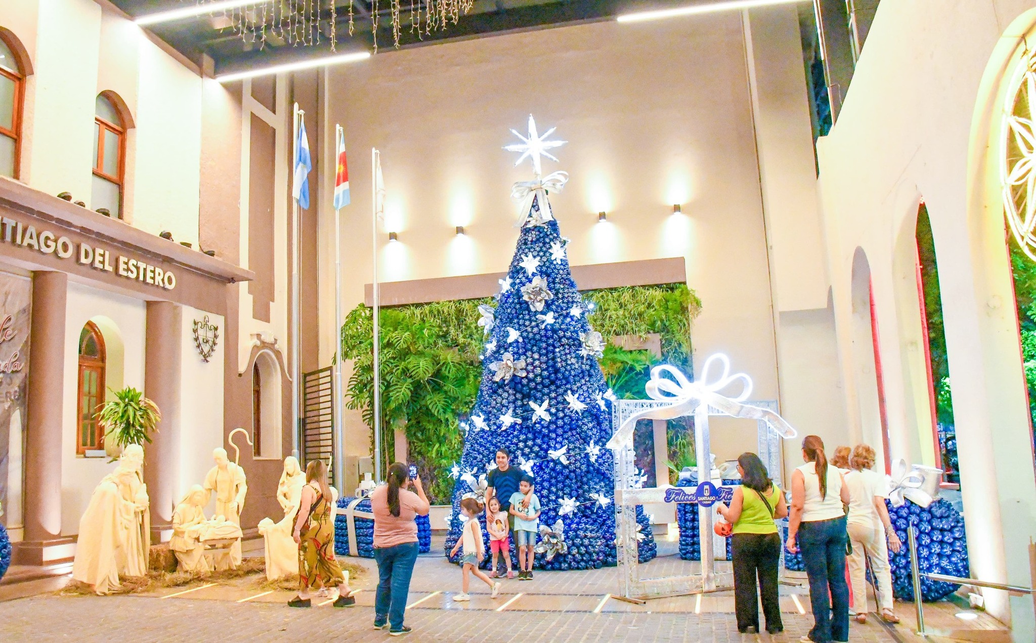 El Árbol de Navidad ecológico capta todas las miradas – La Brujula